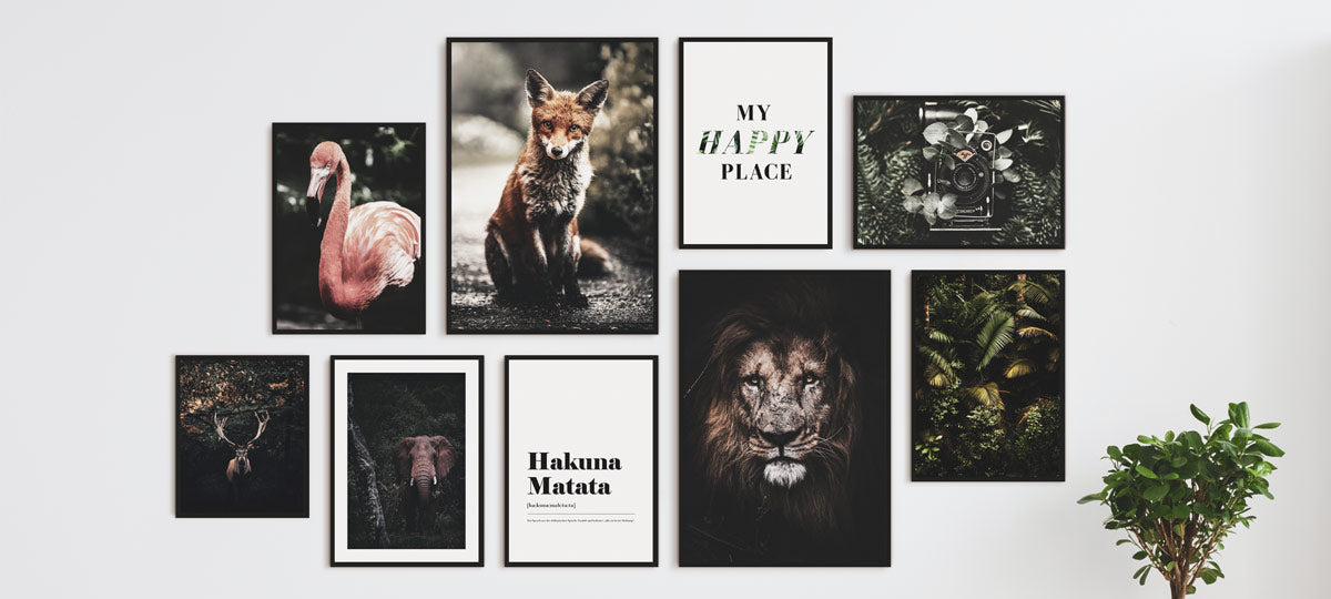 Poster & Bilder mit Tieren | online bestellen | PAPERLY
